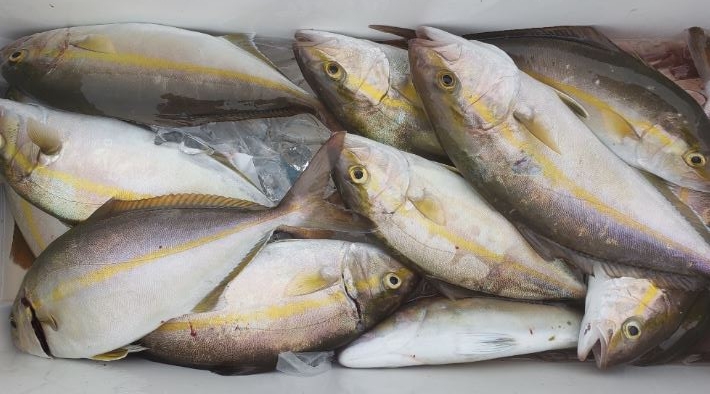 明日は丸万丸でSLJ！ | NABURAな毎日