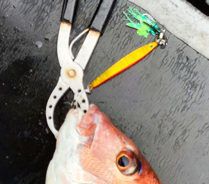 TGスロー活躍中！太漁丸でSLJ始まりだしましたよ！ | NABURAな毎日