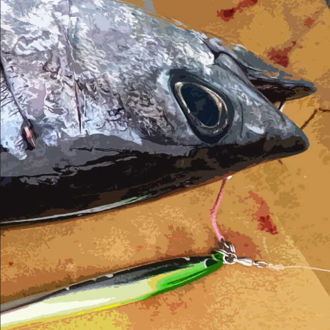 ぽん助丸もトンジギ好調です！ | NABURAな毎日